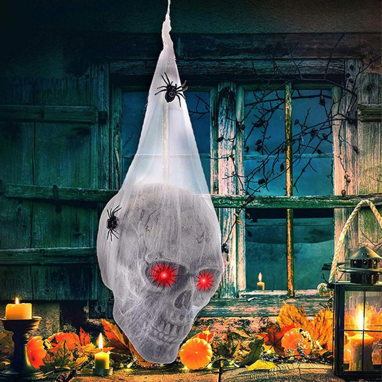 Cobweb With Skull – Expat Life Style