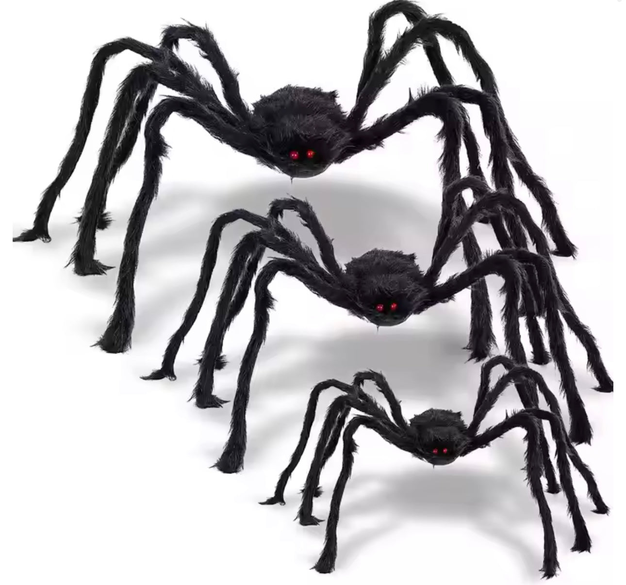 Large Spiders – Expat Life Style